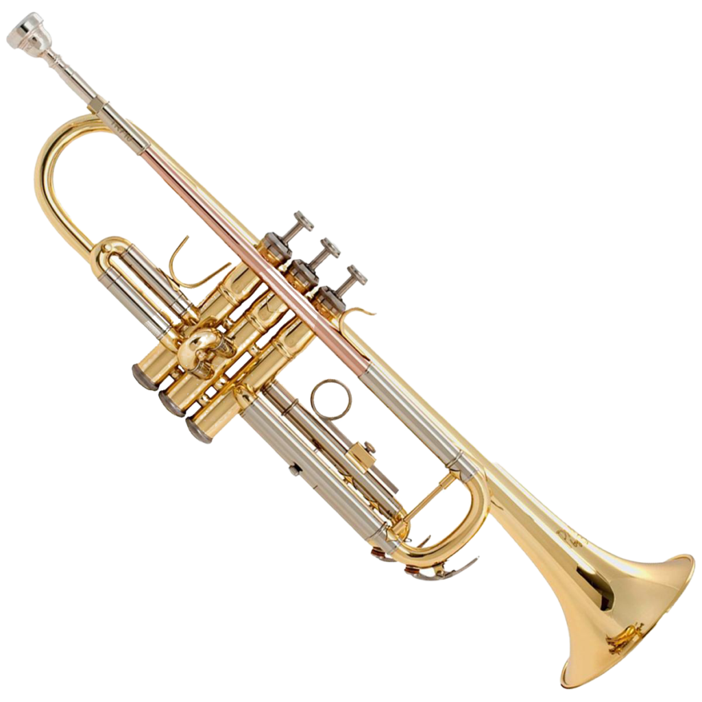 Instrumentos de metal: variedad y excelentes opciones